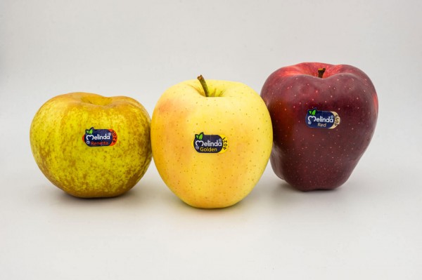 Mele DOP Trentino: Golden delicious, Red delicious, Renetta