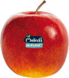 Le mele Melinda: Golden, Red, Renetta, Evelina, Fuji, Gala