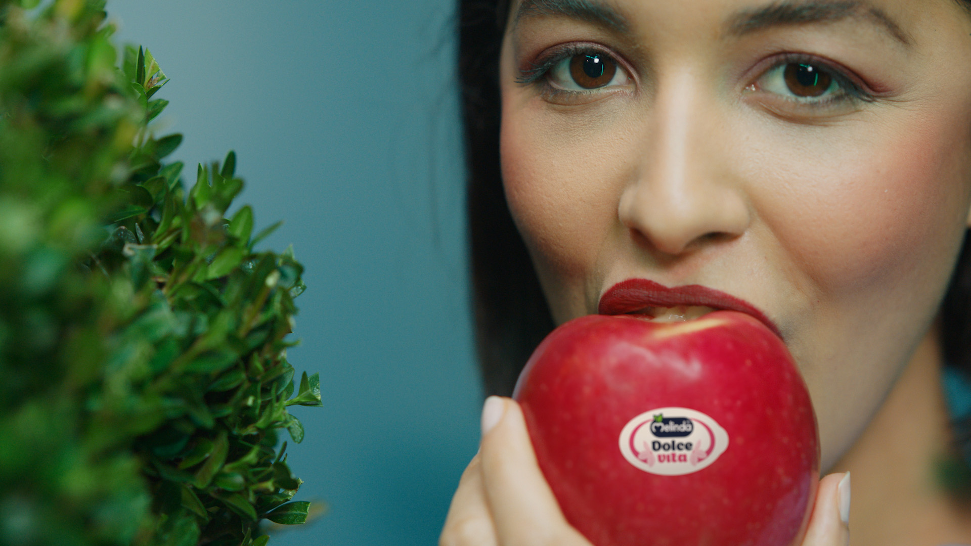 Melinda Dolcevita: la nostra mela più dolce è pronta a conquistarvi!
